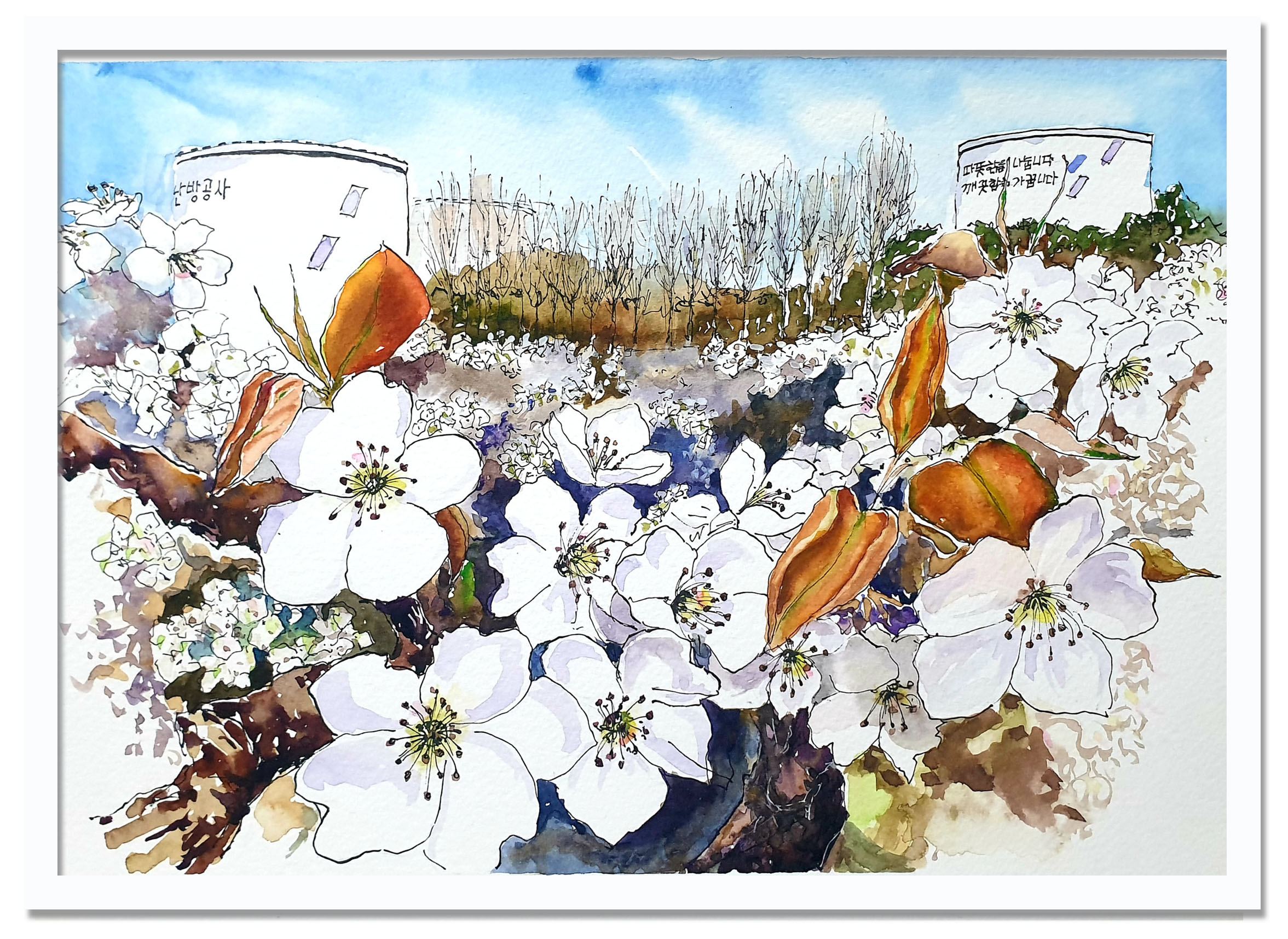 HEE'S GALLERY-PenDrawing